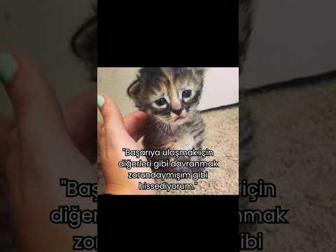 Kendi doğrunu yaşamak, başkalarının yalanında kaybolmaktan daha iyidir.