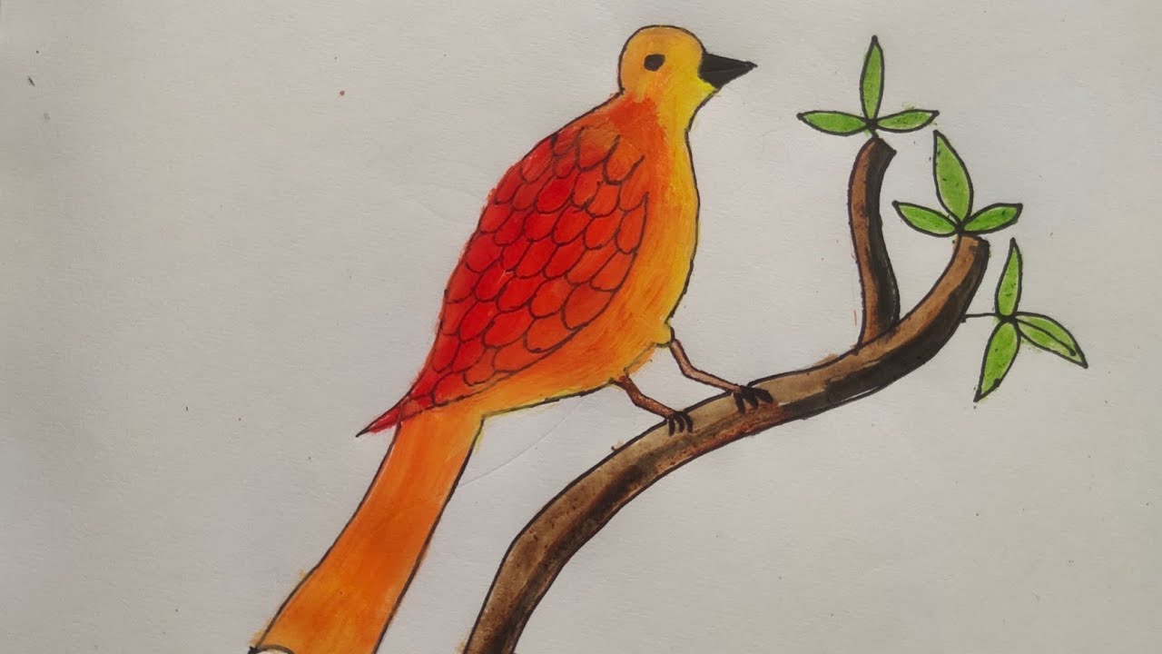 SIMPLE BIRD DRAWING || rang birangi chidiya ka drawing - YouTube