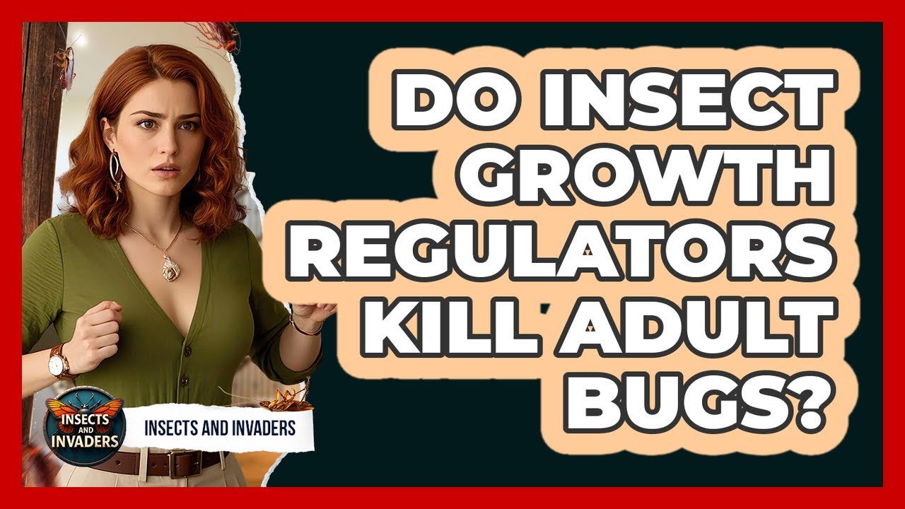 Do Insect Growth Regulators Kill Adult Bugs? - YouTube