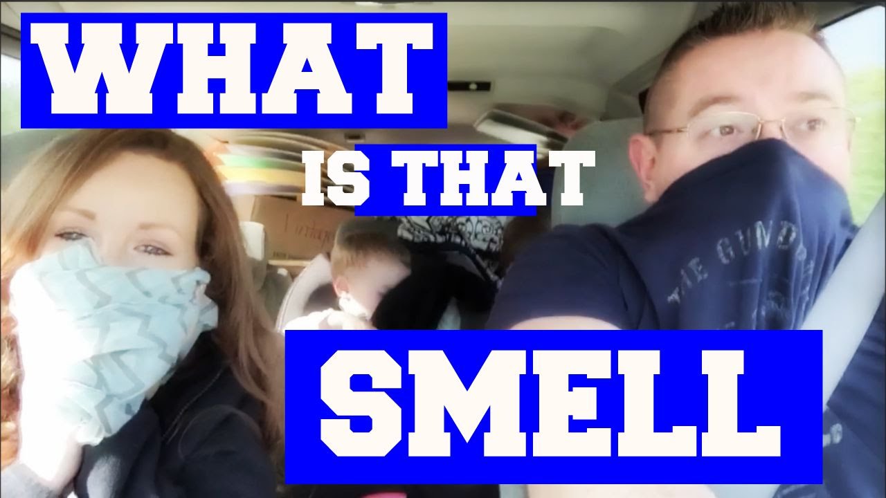 WHAT IS THAT SMELL - YouTube
