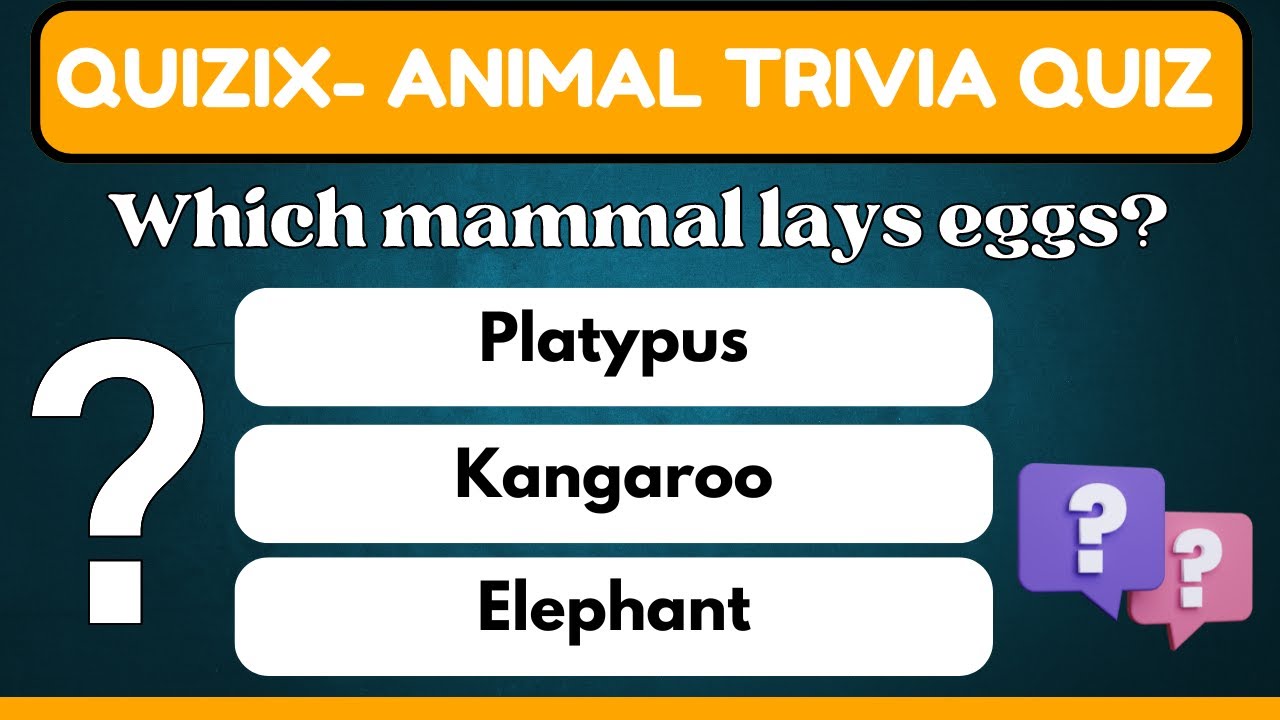 ANIMAL TRIVIA QUIZ - Animal Knowledge Trivia #quiz #animalsquiz # ...