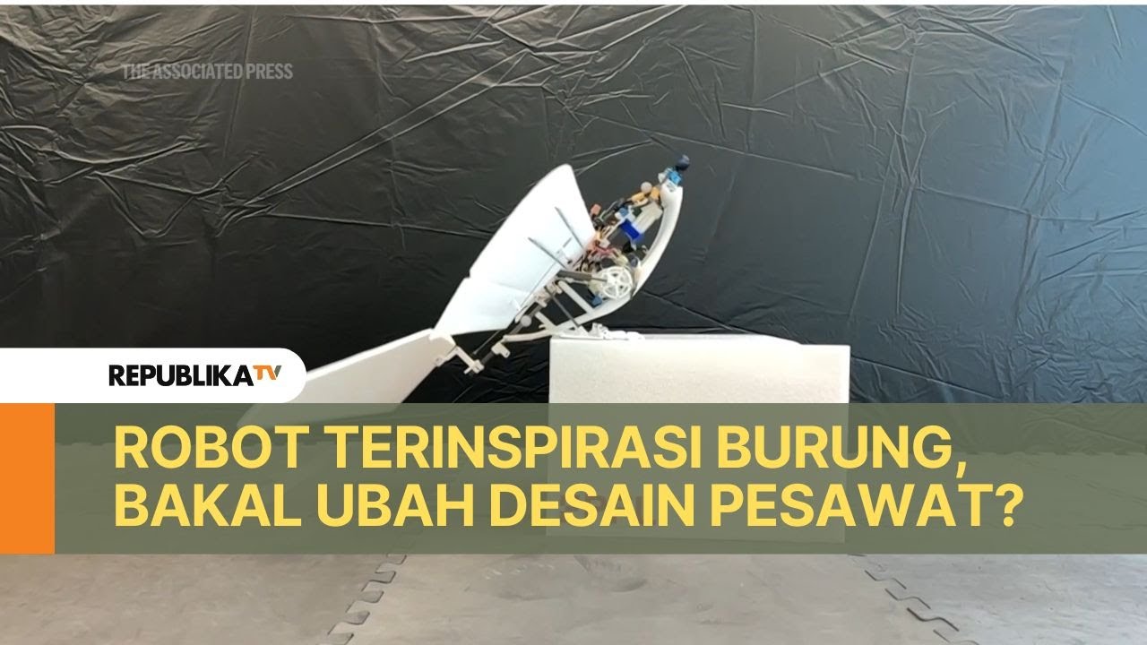 Terinspirasi Burung, Robot ini Mampu Jangkau Wilayah Terpencil dengan ...