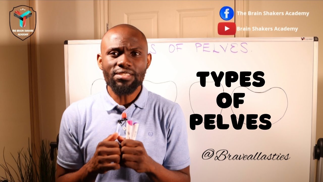 TYPES OF PELVES - Gynaecoid, Android, Anthropoid and Patypelloid - YouTube