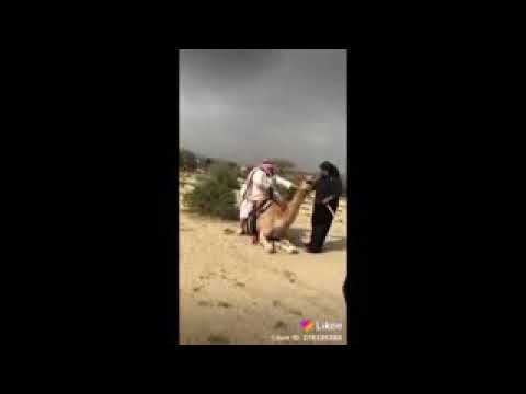 Arabic funny video