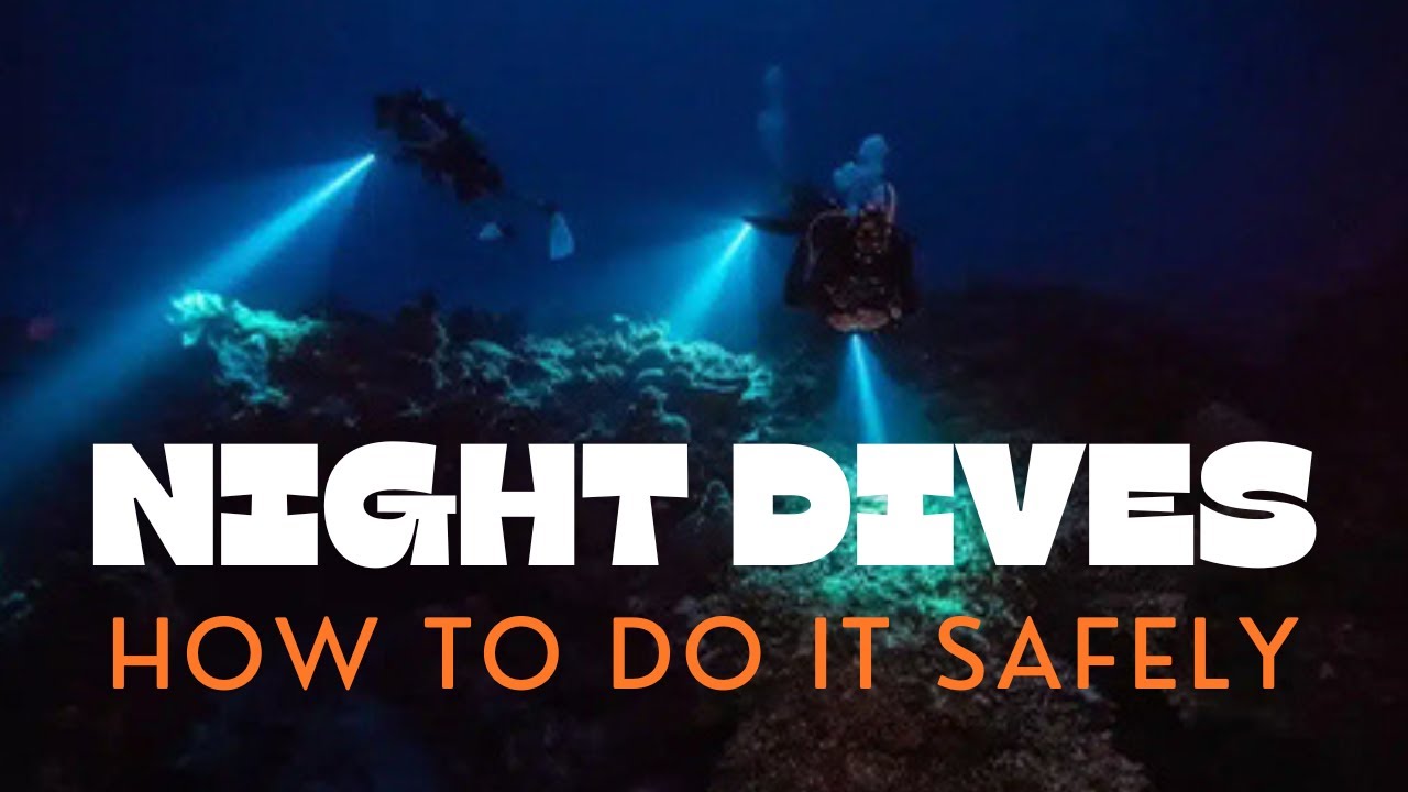 Tips for Night Dives: How to Scuba Dive Safely at Night #scubadiving # ...
