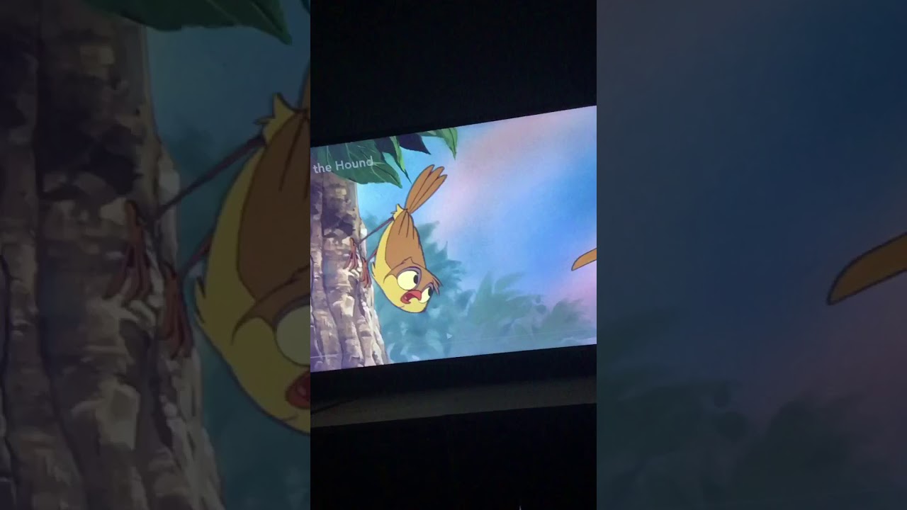 Ok boomer-Fox and the hound - YouTube