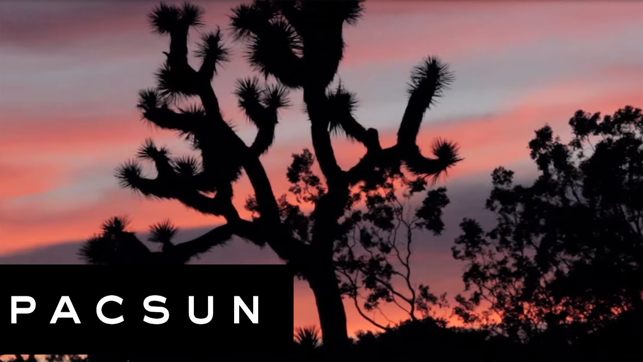 GSOM City Series: Joshua Tree National Park | PacSun - YouTube