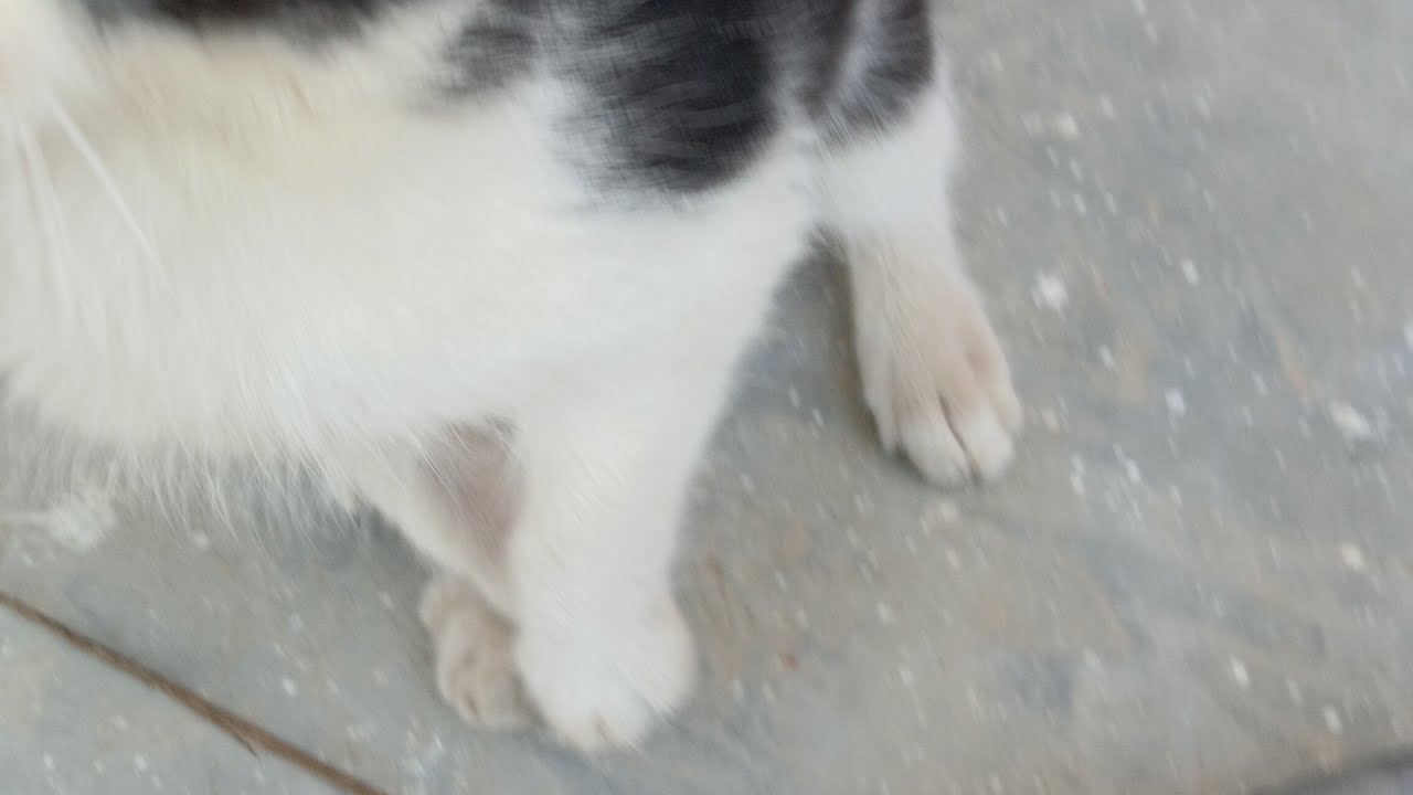 Anwer ali is live! - YouTube