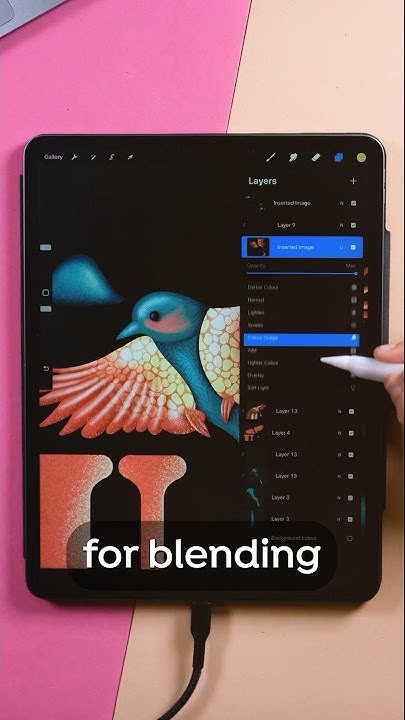 Procreate - Blend Modes in 3 groups! #procreatetutorials #procreatetrick #procreate # ...