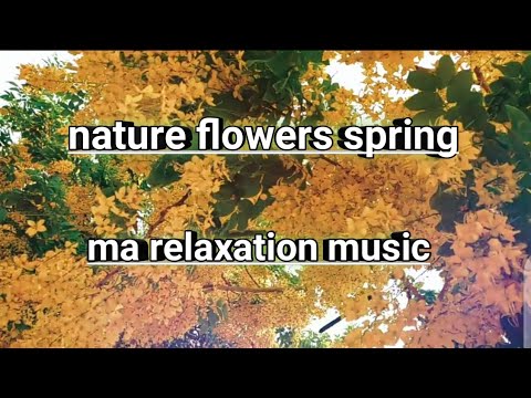 nature flowers spring | cinematic music | ma relaxation music - YouTube