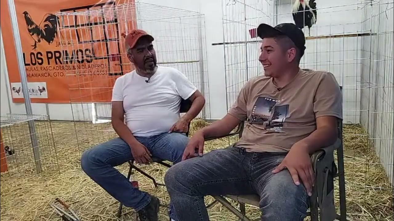 ‼️🐓‼️🐓 CRISTIAN EL CHICLES ÁVILA ‼️🐓‼️🐓 - YouTube