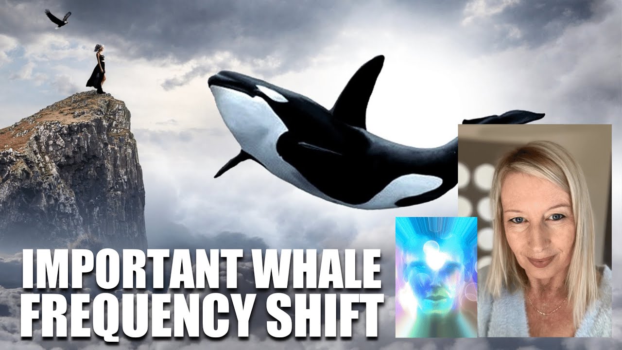 IMPORTANT WHALE/ORCA MESSAGE FROM EARTH - YouTube