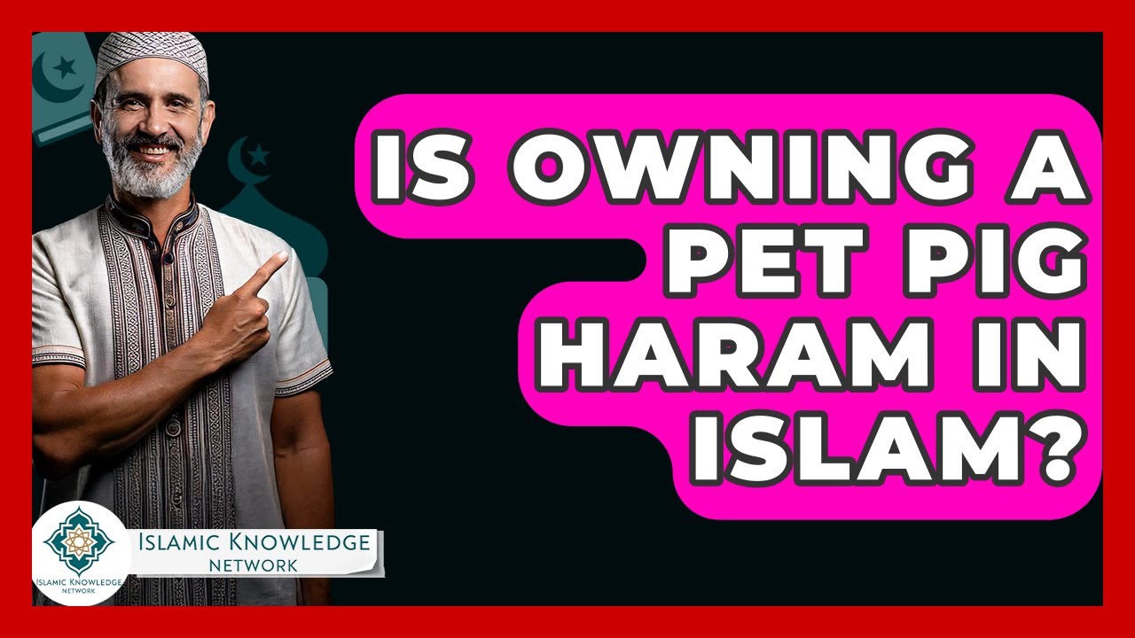 Is Owning A Pet Pig Haram In Islam? - Islamic Knowledge Network - YouTube