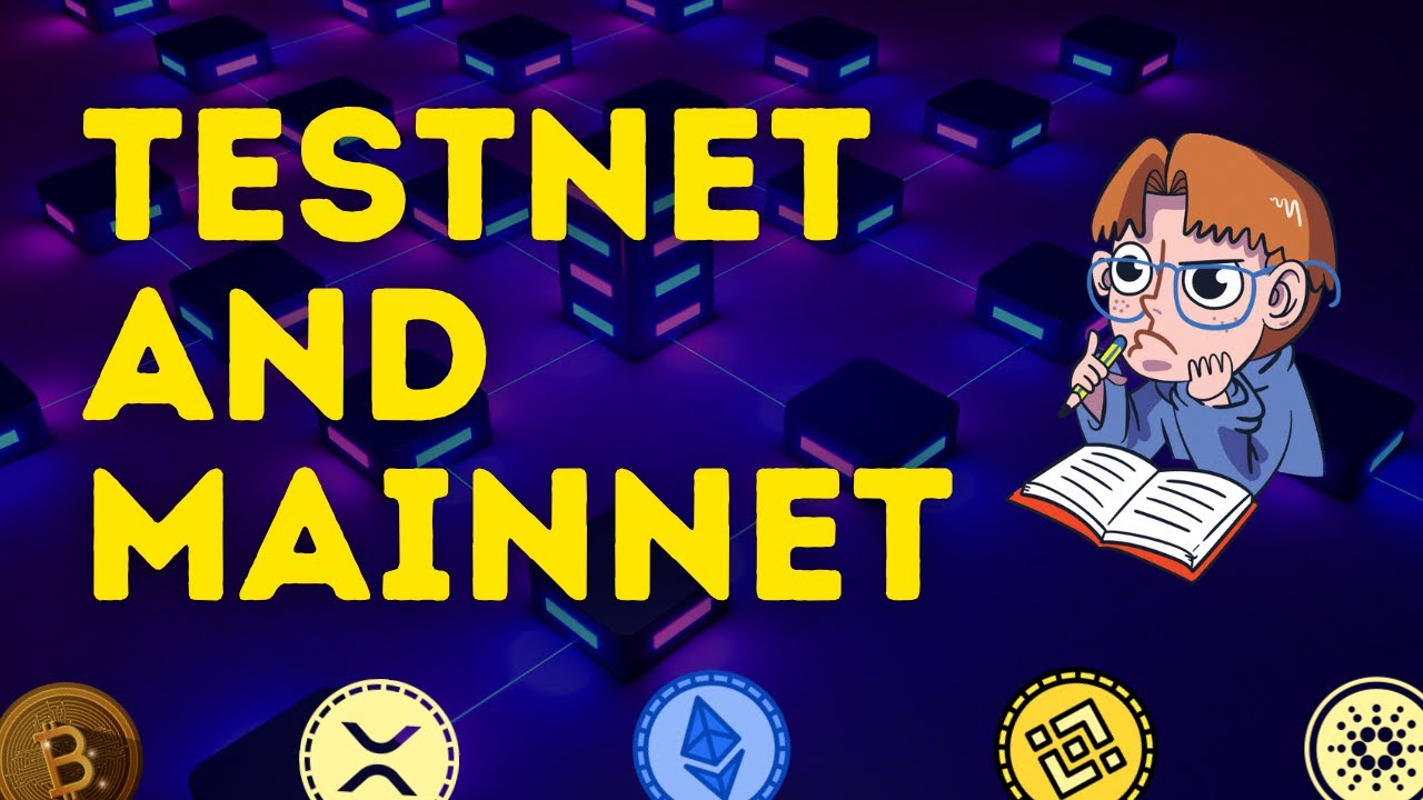 What is Testnet and Mainnet in Blockchain Development ...
