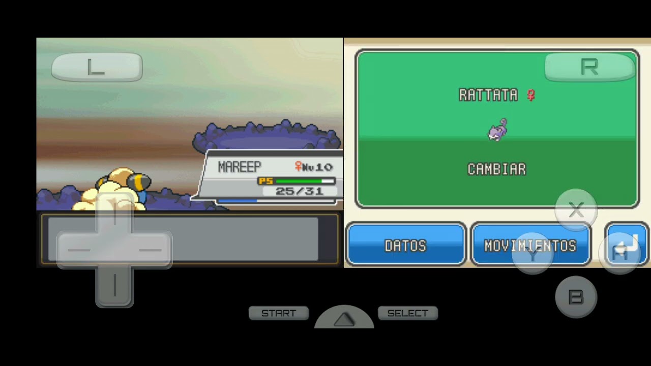enfrentando a pensador Brandon xd - YouTube