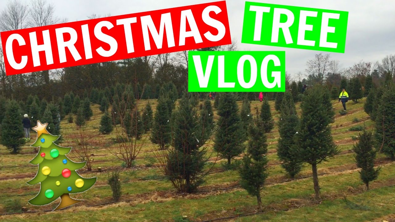 Christmas Tree Vlog/Decorating My Tree 2015! || MERRY FARMS - YouTube