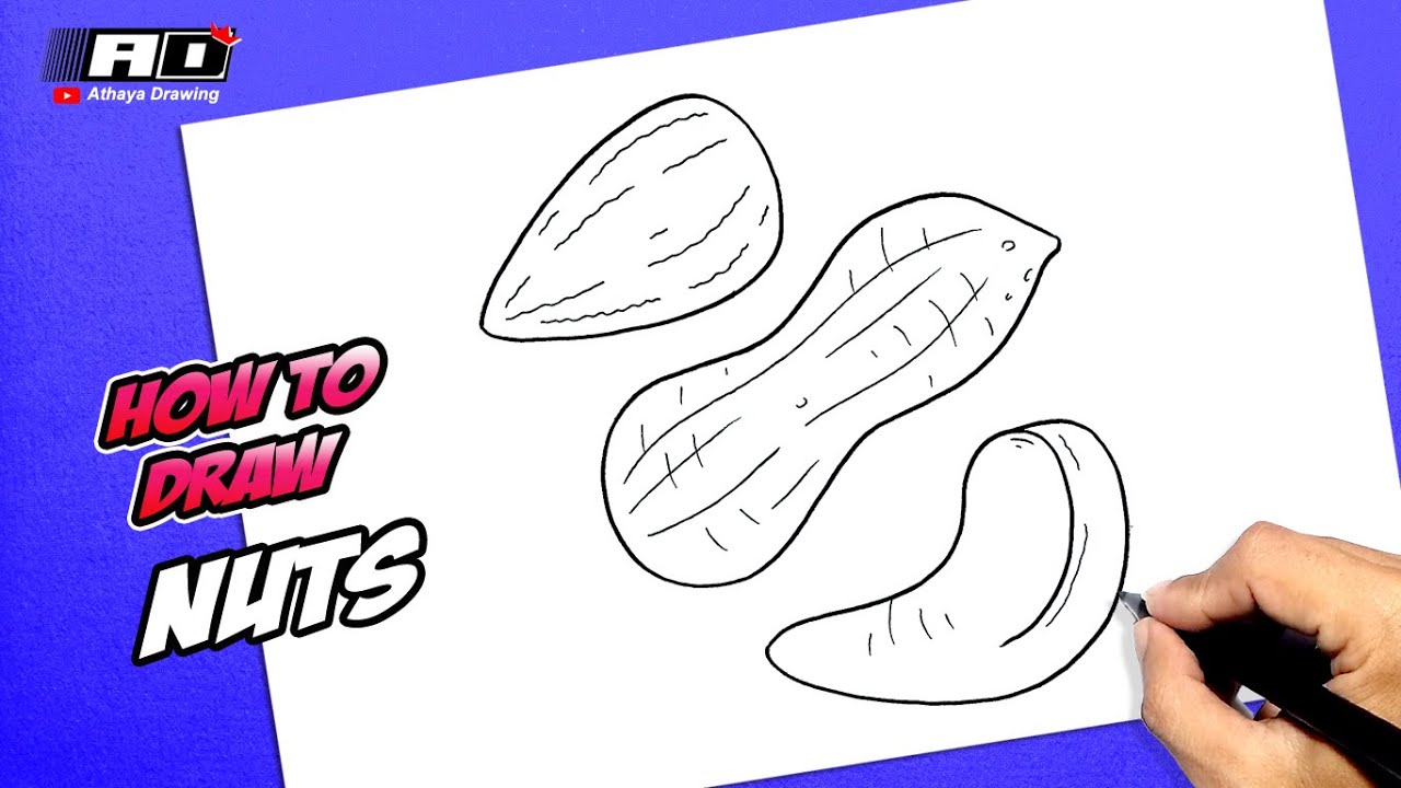 How to draw Nuts - YouTube