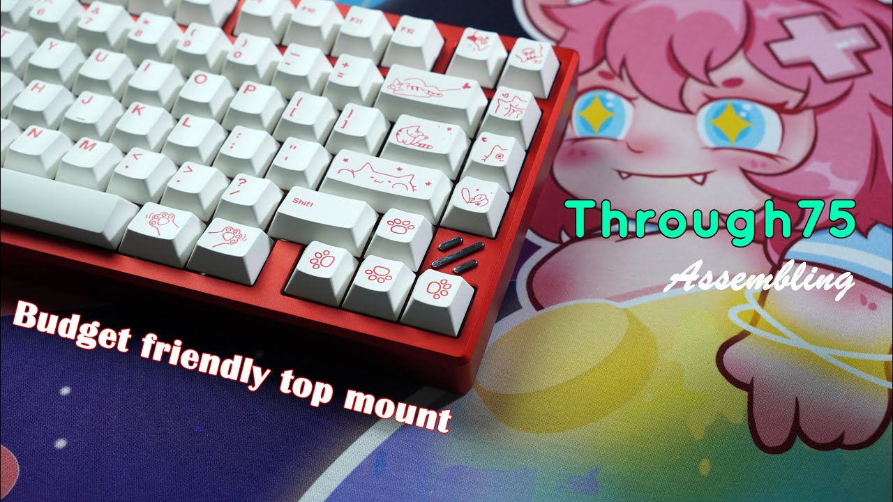 Through75 - Budget Friendly Top-mounted Keyboard Kit | TKS #assembly # ...