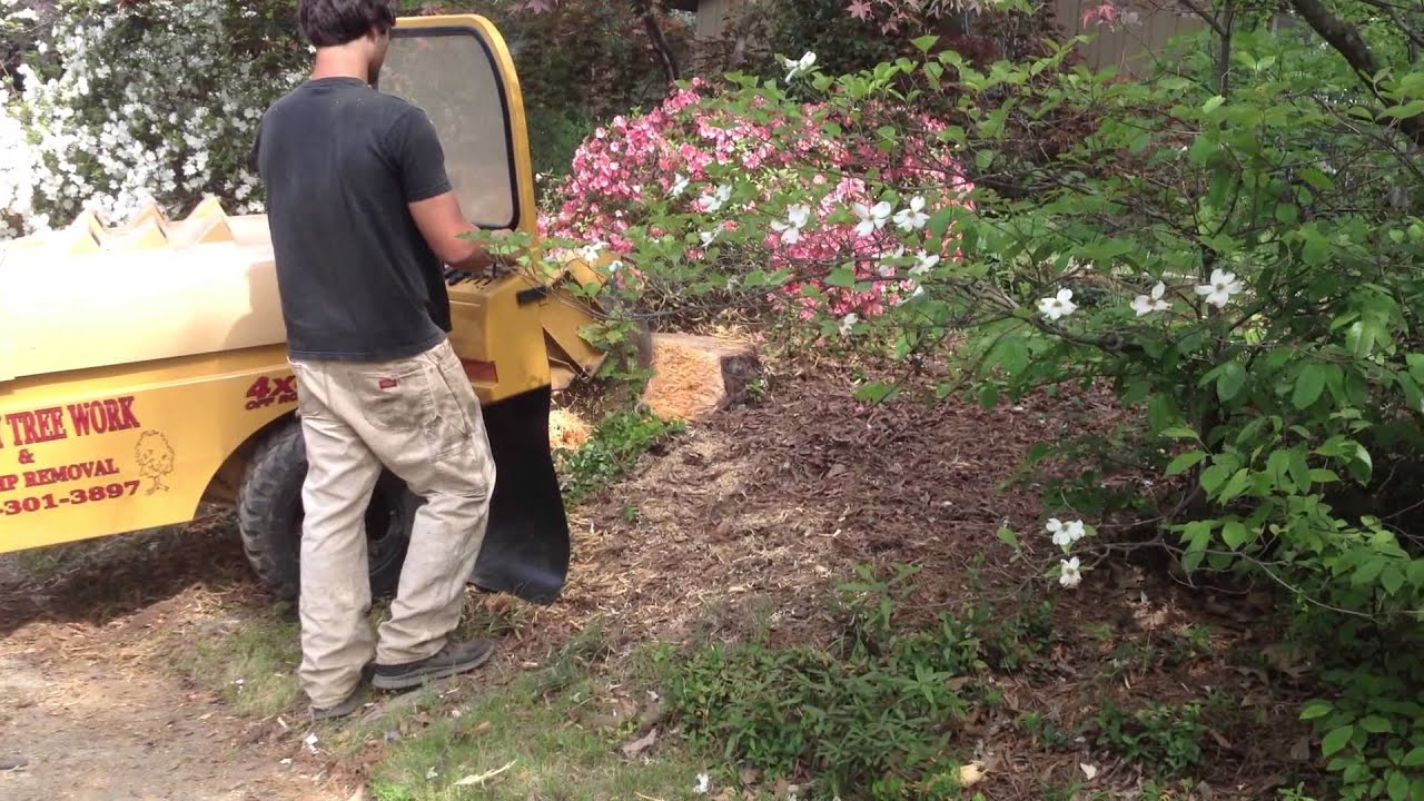 Rayco RG90 Grinding Small Pine Stump - YouTube