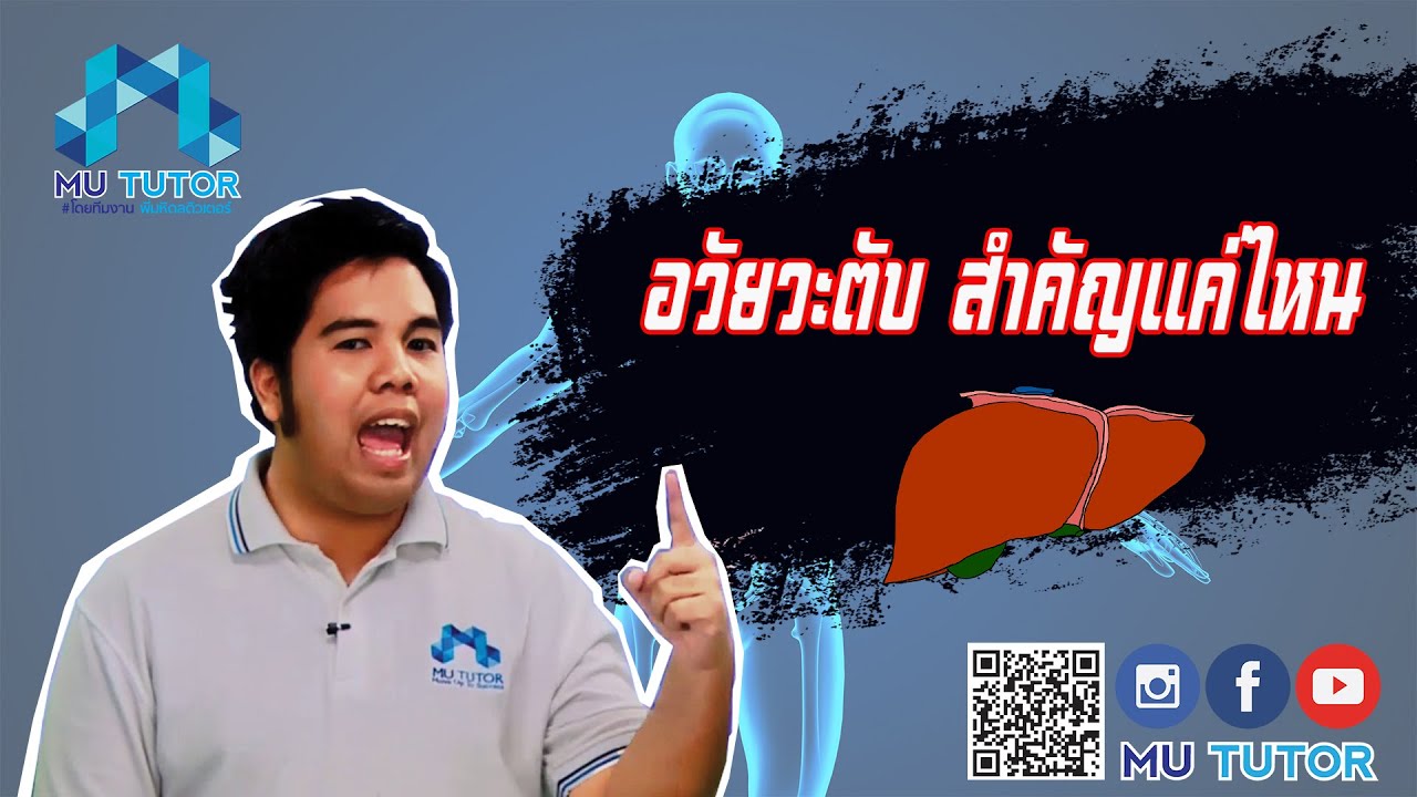 เซลล์สัตว์ ตับ อวัยวะ SER RER ตับแข็ง ไขมันพอกตับ lysosome #วิทย์ #MWIT #ขั้นเทพ #MUTUTOR # ...