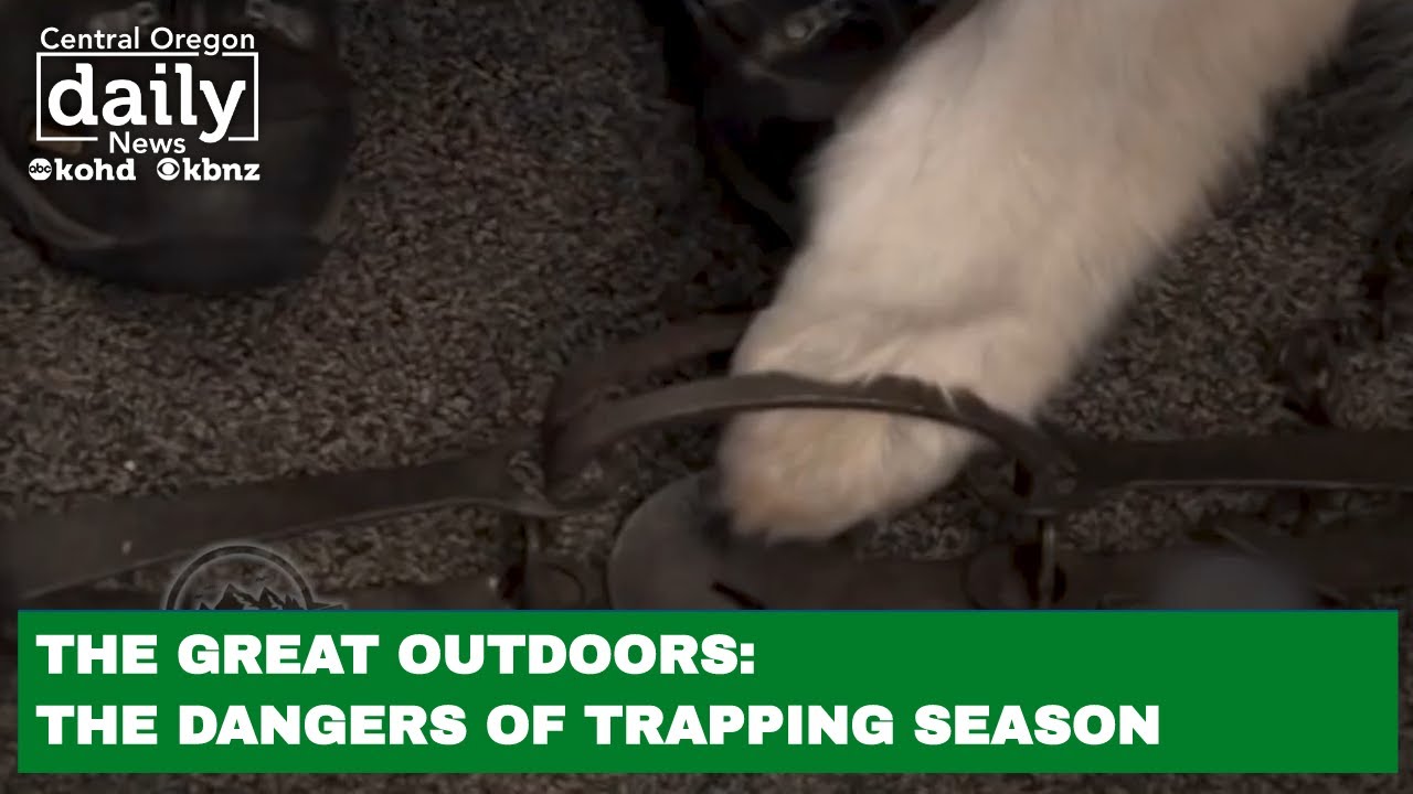 The Great Outdoors: The dangers of trapping season and how to free your ...