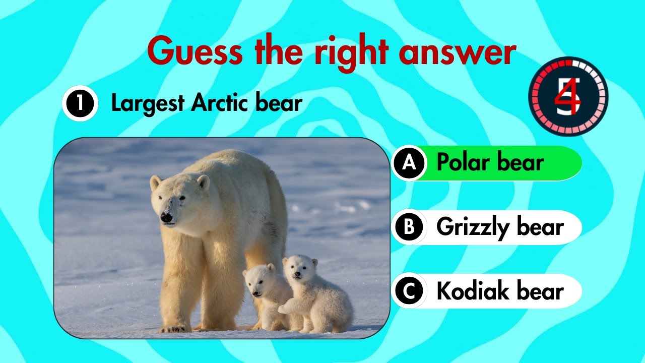 🧊 Arctic Animal IQ Test: Are You a Polar Pro? 🐻‍ ️ - YouTube
