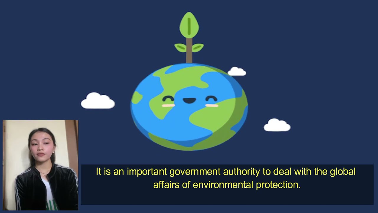 Environmental Protection And Management YouTube environmental-protection-and-management-youtube