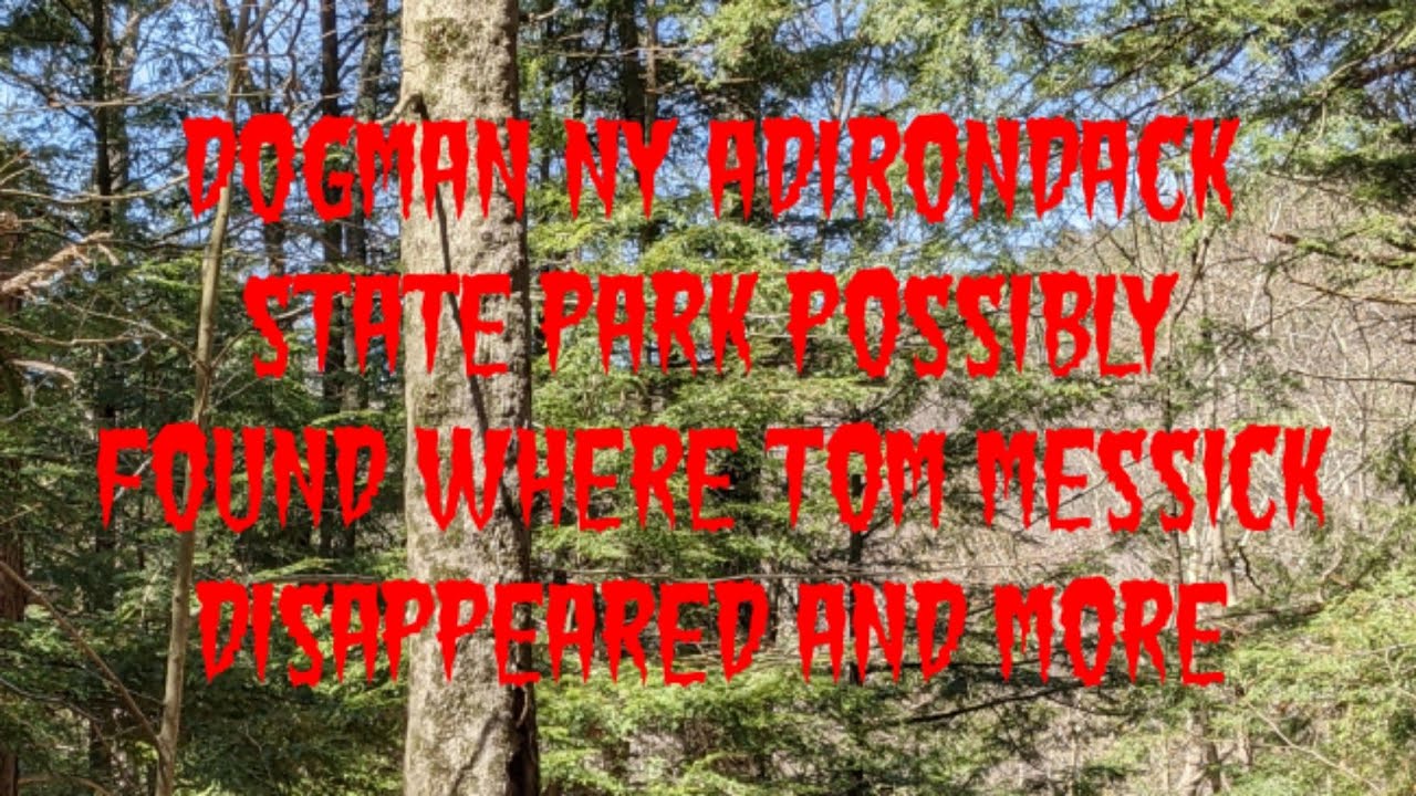 DOGMAN NY ADIRONDACK STATE PARK POSSIBLY FOUND WHERE TOM MESSICK ...