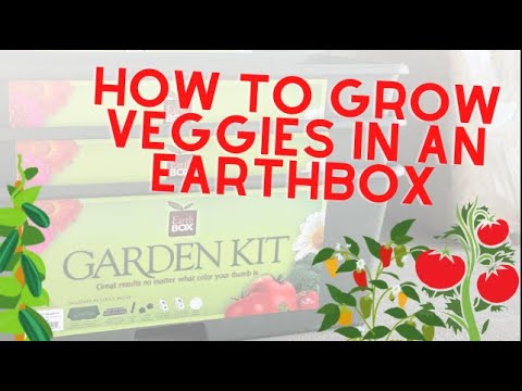 How to Grow Veggies in an EarthBox (Demonstration) - YouTube