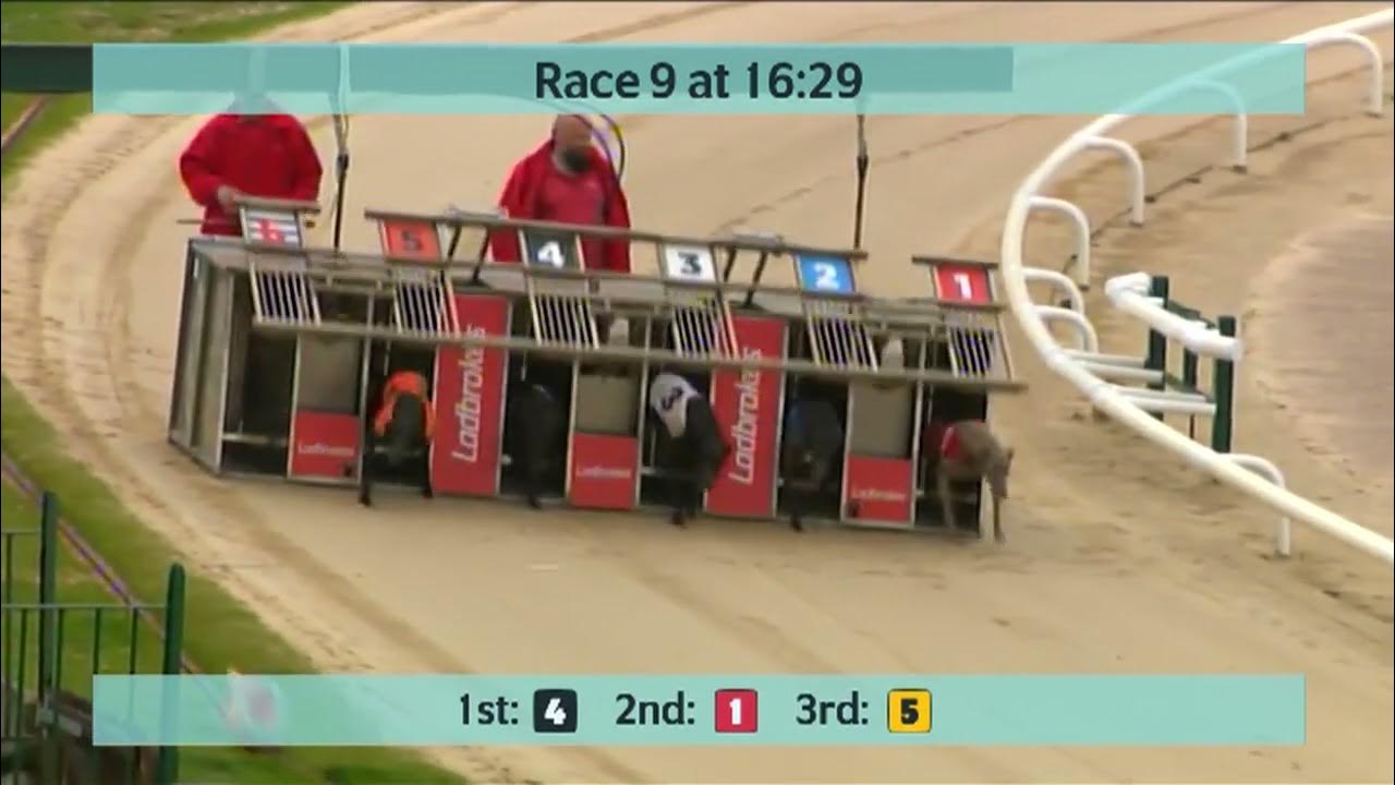 Monmore Greyhounds Races on 14th May 2024 - YouTube Monmore Greyhounds Races on 14th May 2024 - YouTube
