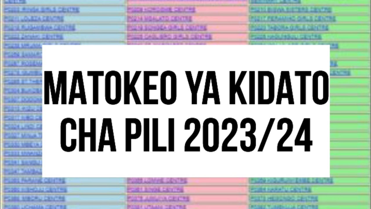 MATOKEO YA KIDATO CHA PILI 2023/24 • NECTA FORM TWO RESULT FTNA - YouTube
