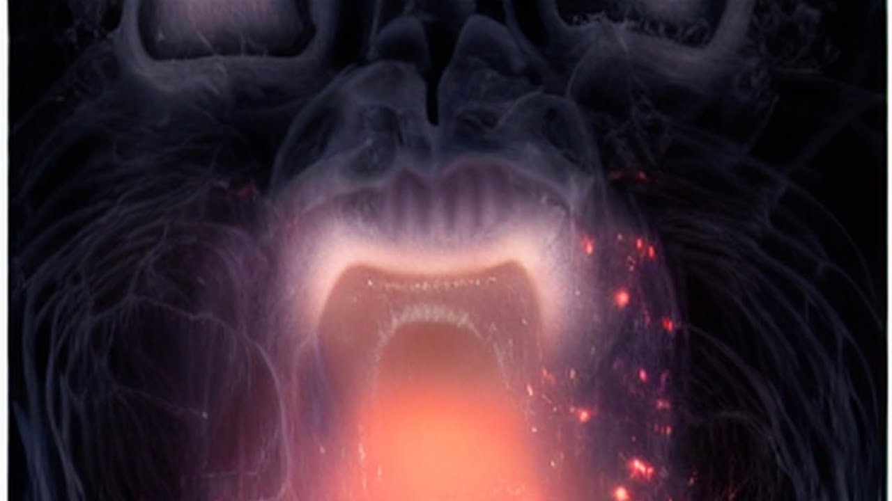 Why do we Stutter (Question Night) - YouTube