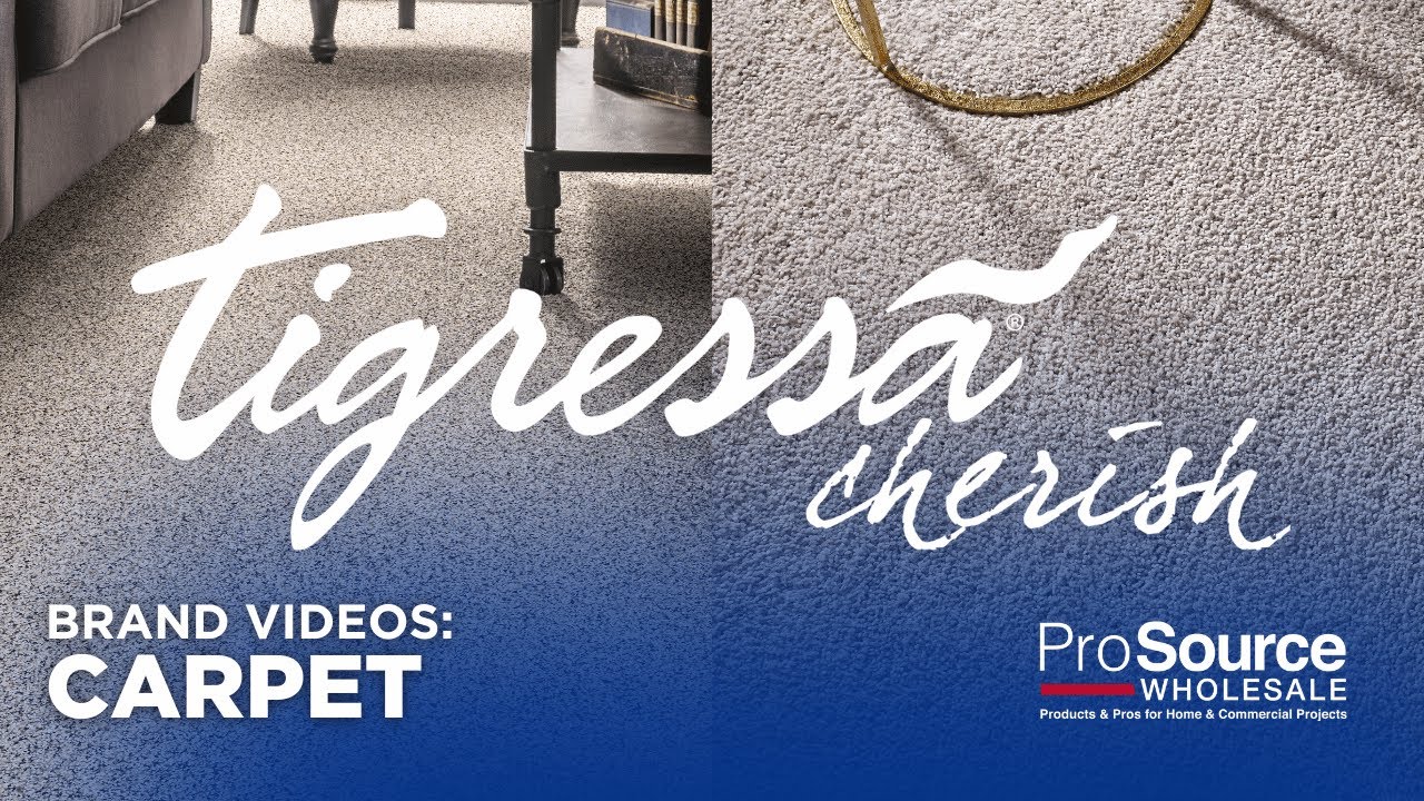 High-Performance Carpets by Tigressa Cherish - ProSource Wholesale® - YouTube