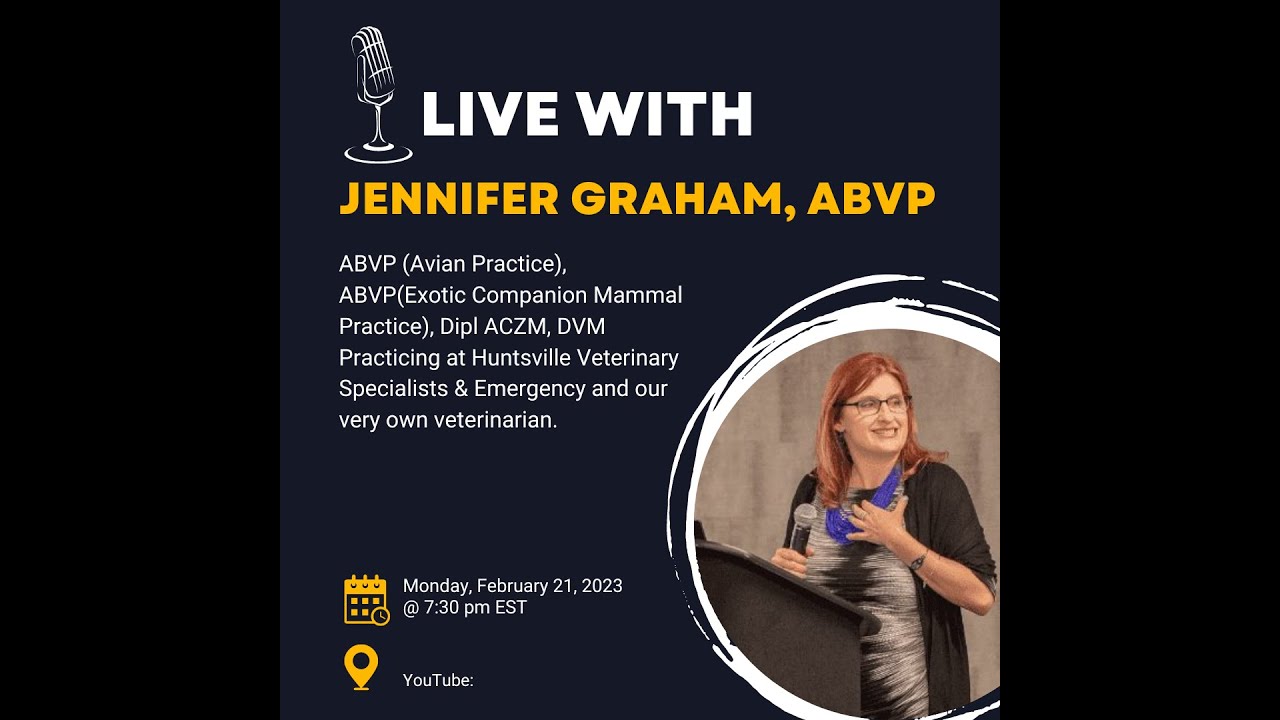 Interview with Dr. Jennifer Graham, ABVP - YouTube