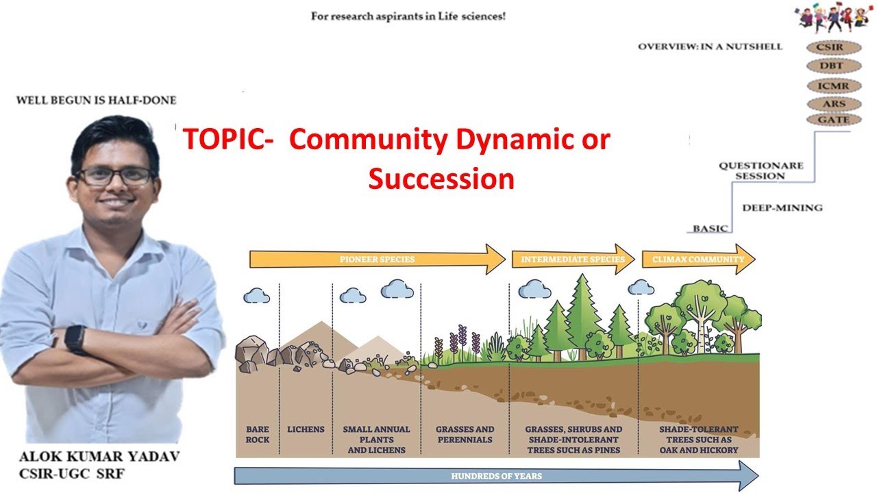 Succession Model, Facilitation model, Tolerance model, Inhibition model ...