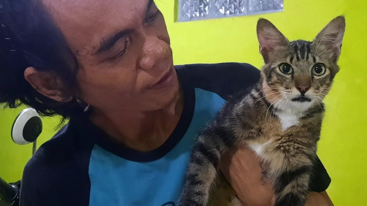 KUCING ALI PULANG SETELAH LAMA TIDAK PULANG,JADI BERUBAH SEKALI😲 - YouTube