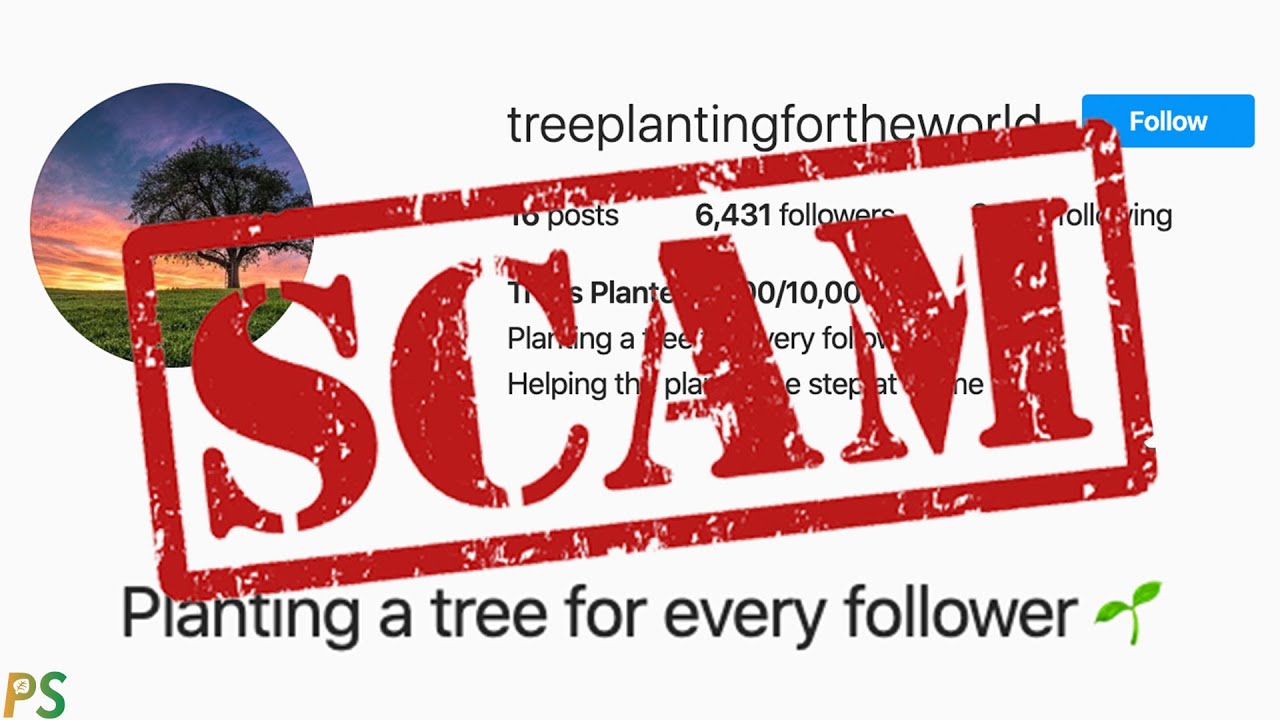 Exposing Tree Planting Scam - YouTube