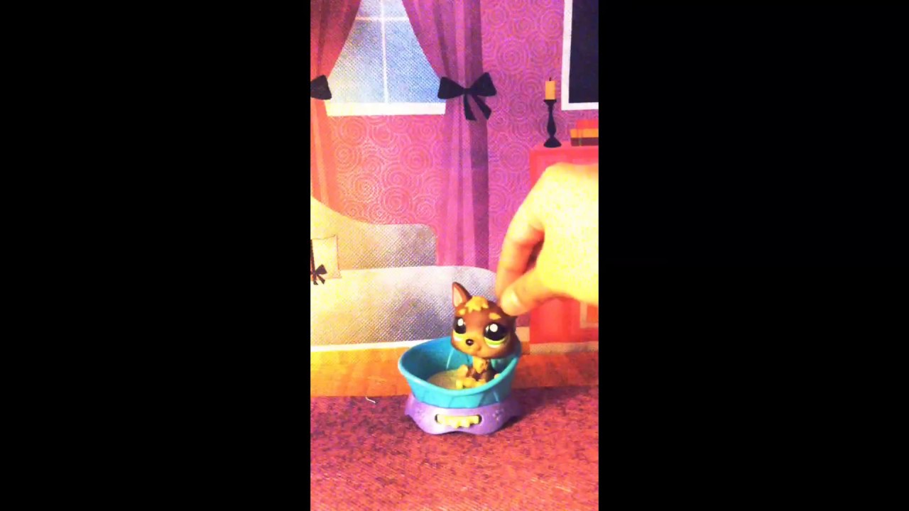 The LPS fat contest😅 - YouTube