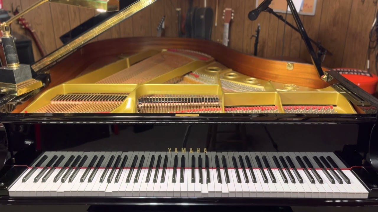 Ancient Aliens by Lemon Demon | Player Piano Arrangement - Go IT