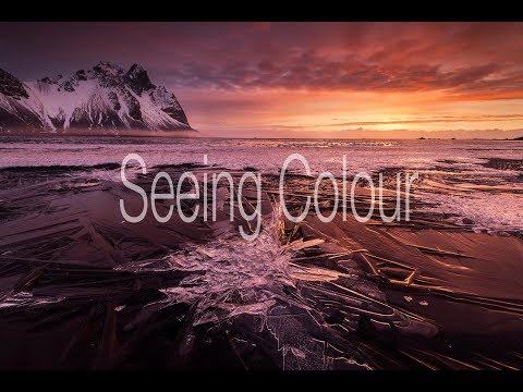 A touching moment when colorblind photographer sees full colors of ...