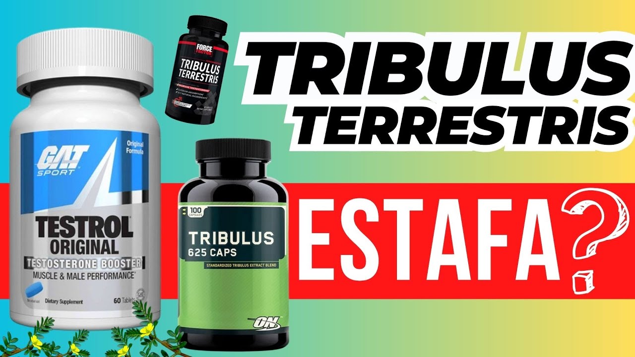 TRIBULUS TERRESTRIS: ¿más testosterona natural? - DANI FIT - YouTube