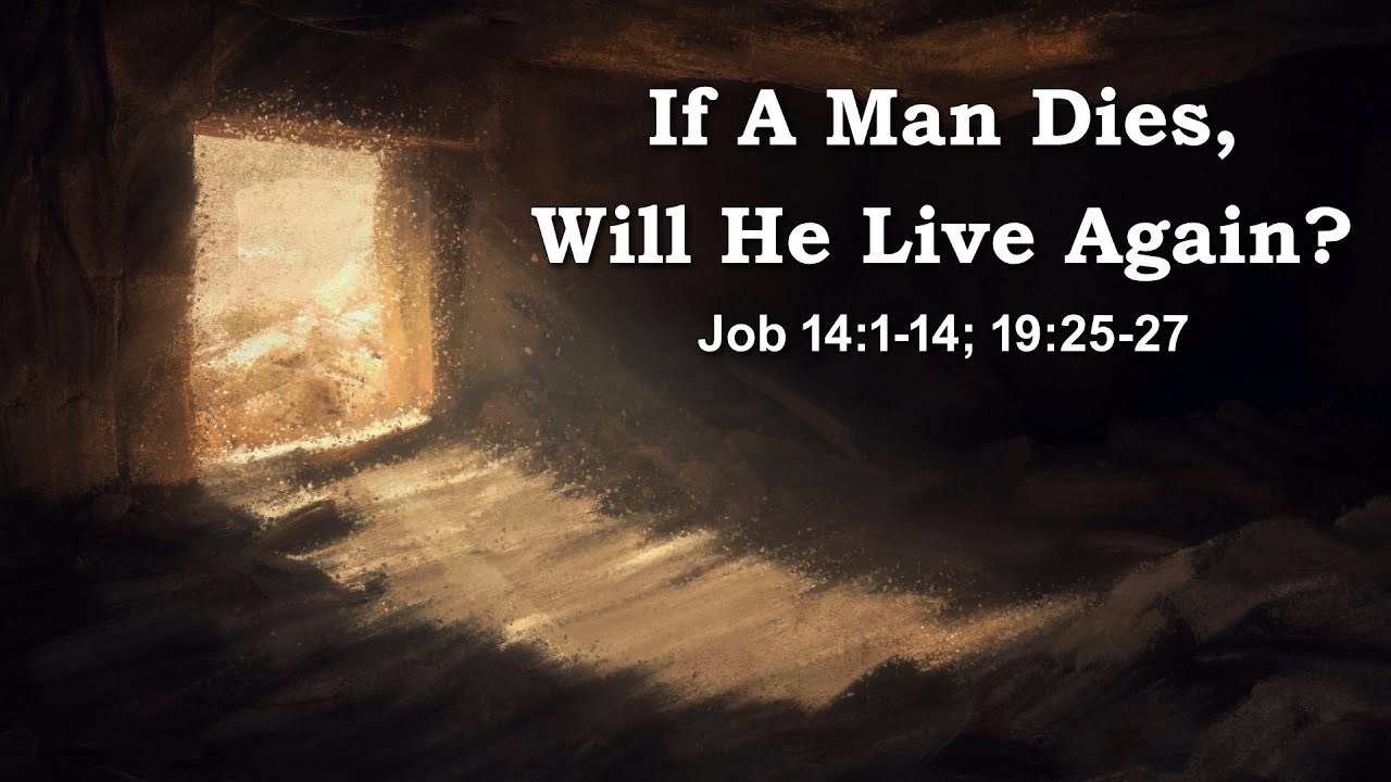 If A Man Dies, Will He Live Again? Job 14:1-14; 19:25-27 by Rev. Terry ...