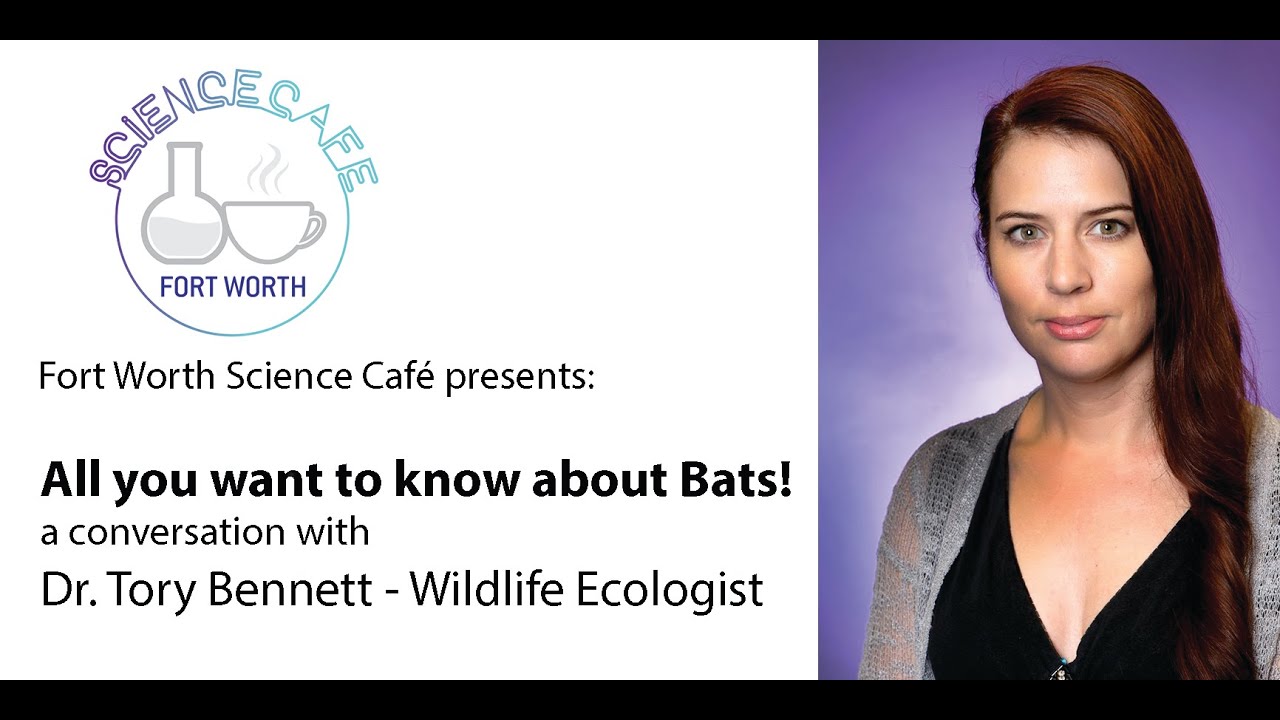 All you want to know about Bats! - A conversation with Dr. Tory Bennett ...