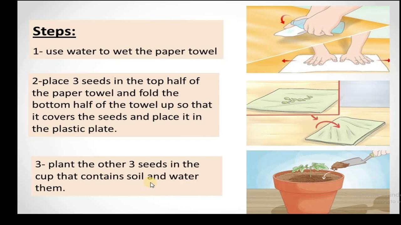 first term science grade 5 | concept 1 lesson 2 Do plant need soil 2023 ...