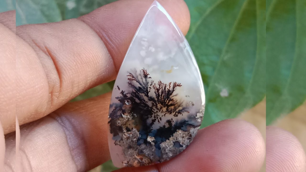Black plant type agate stone like a living plant - YouTube