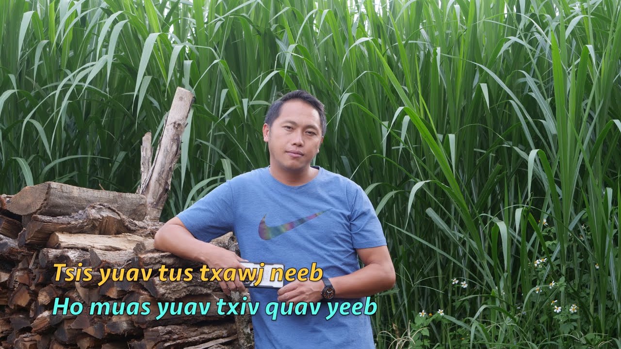Tsis yuav tus txawj neeb ho mus yuav tus txiv quav yeeb 8/13/2025 - YouTube