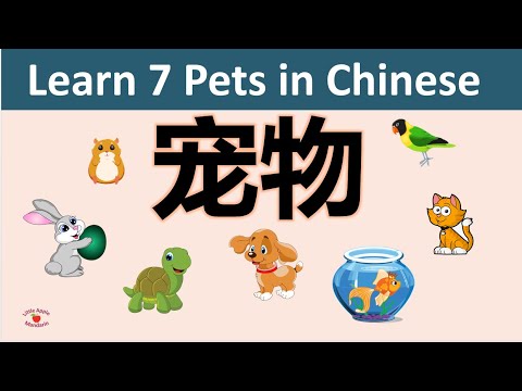 Learn 7 Pets in Chinese 学中文: 宠物 - YouTube