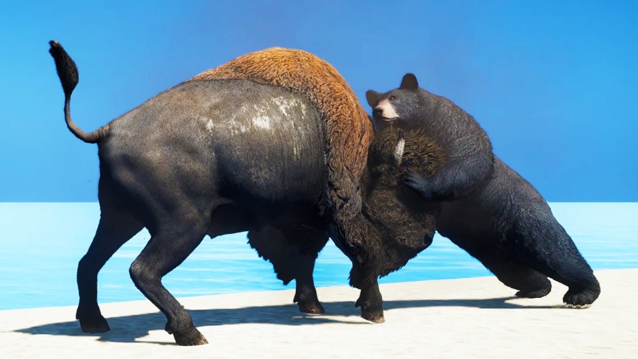 Bison VS all Predators in Far Cry 5 - YouTube