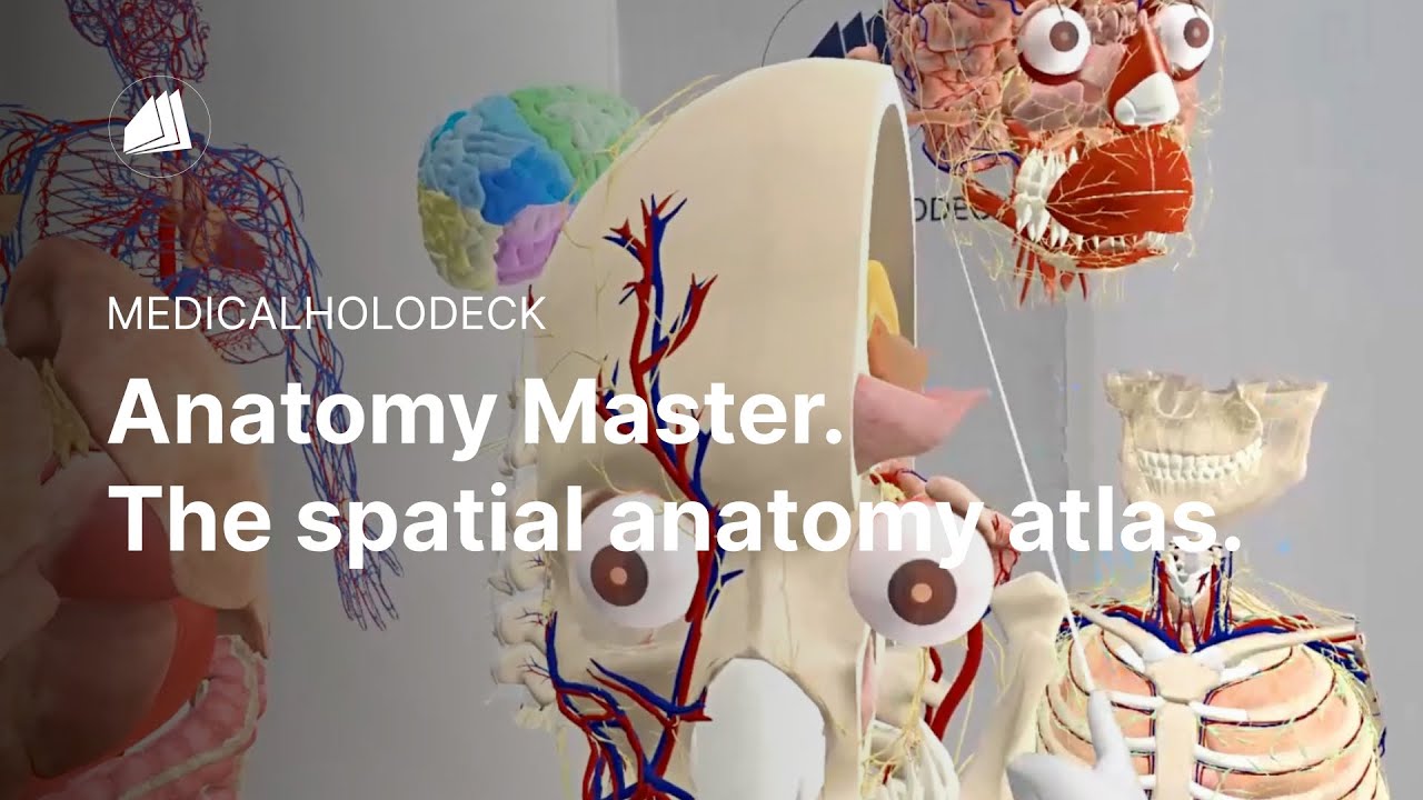 Anatomy Master, the spatial anatomy atlas - YouTube