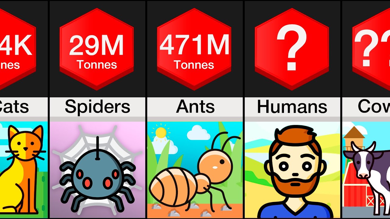 Comparison: Total Mass of Each Animal - YouTube